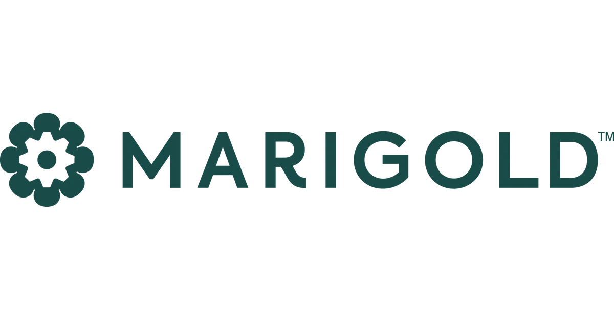 Find the right Marigold Agency Partner