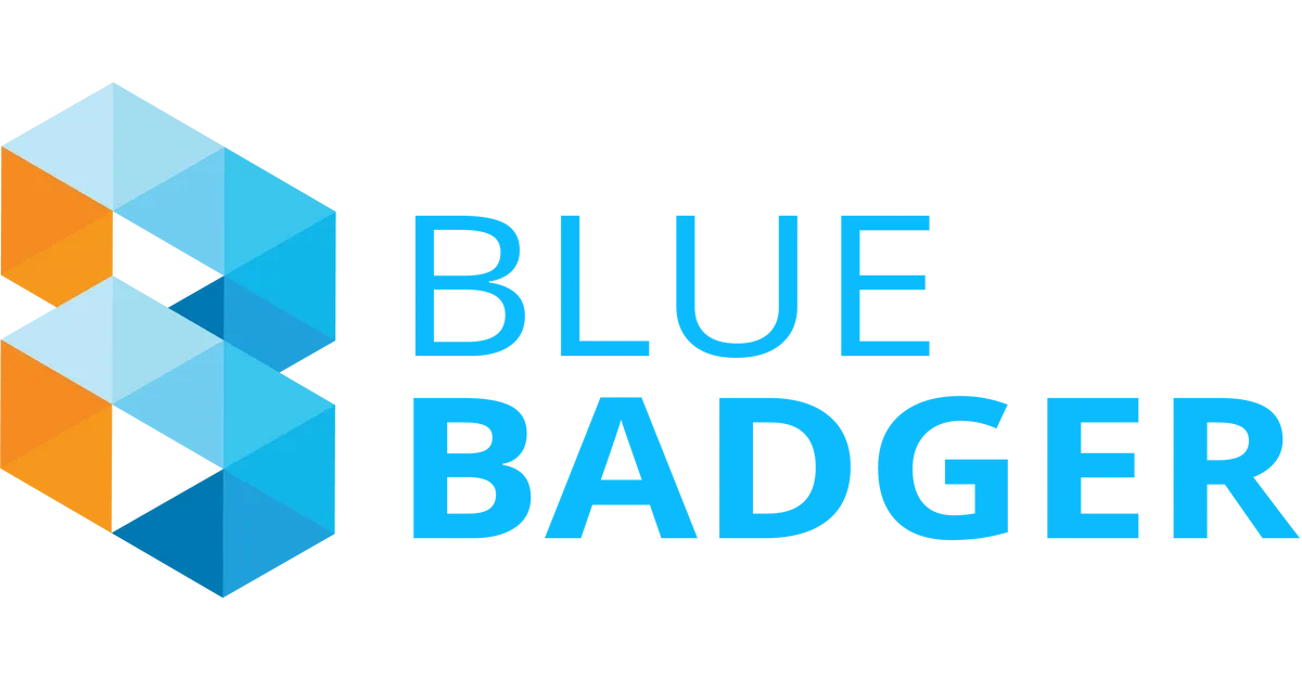 Blue Badger - Klaviyo Agency Partner Directory
