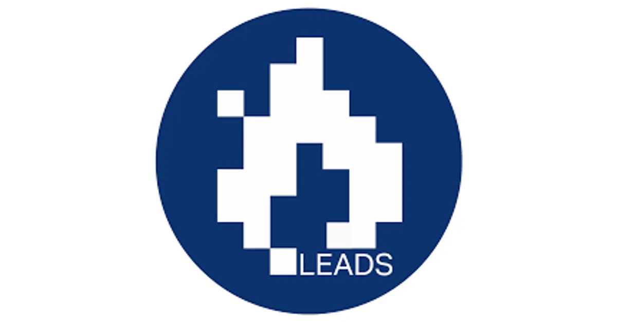 Blue Fire Leads LLC - Verse.io Service Partner Directory