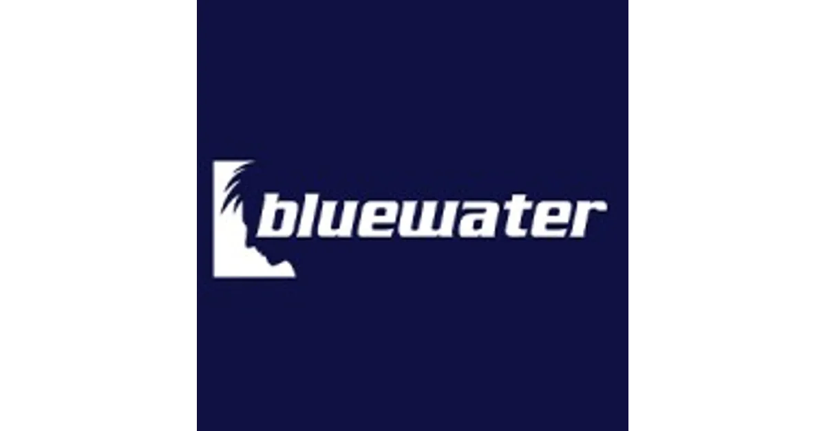 Bluewater Media - Firework Service Partner Directory