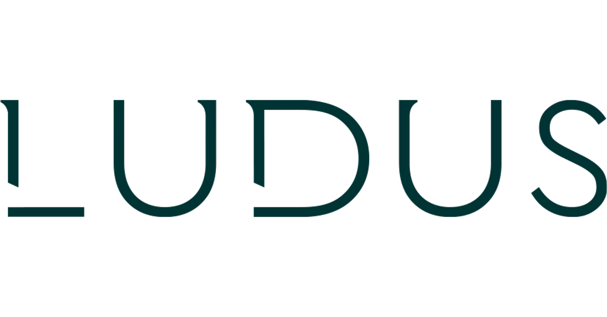 Ludus Ventures - Adjust Solutions Partner Directory
